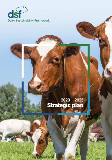 Vision & Strategy - Dairy Sustainability Framework